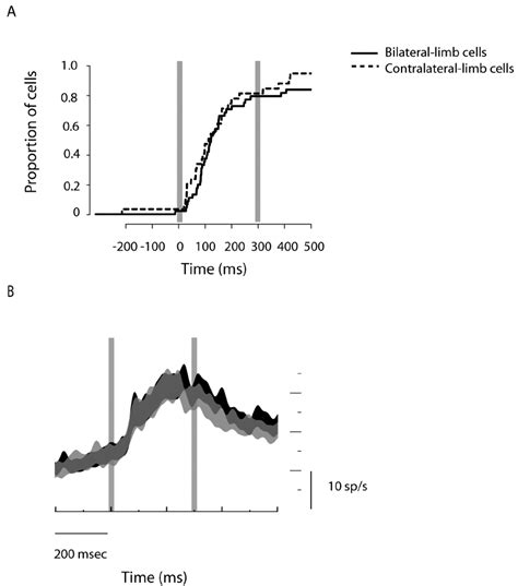 Neuronal Latency Between Bilateral Limb And Contralateral Limb Cells