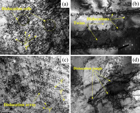 The Tem Microstructure Of The Ni Based Superalloy Gh202 Treated By Lsp