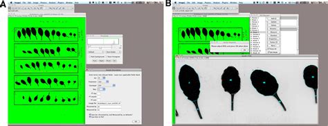 Leafj An Imagej Plugin For Semi Automated Leaf Shape Measurement