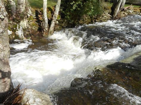 Qta Da Maria Neta River