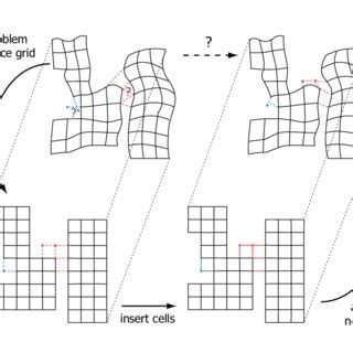 Growing The Grid Inserting Cells In Advected Grids Poses Two Download Scientific Diagram