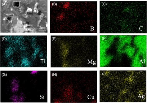 A The Microstructure Of B4c Phase In The Joint Metallized With Download Scientific Diagram
