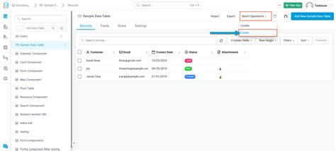 Deleting Records Getting Started