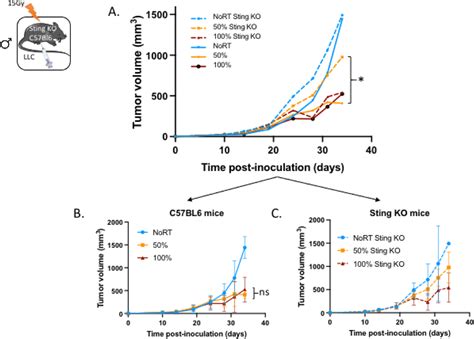 Activation Of Sting In Response To Partial Tumor Radiation Exposure Pmc