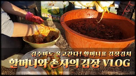 김장 브이로그 Vlog 할머니와 시골가서 김장하기 김장김치와 수육 먹방 Youtube