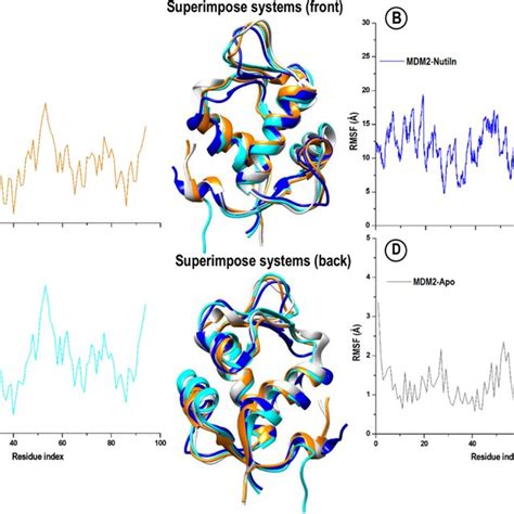 A The Major Functional Domains Of P53 Protein Including The Mdm2 Download Scientific Diagram