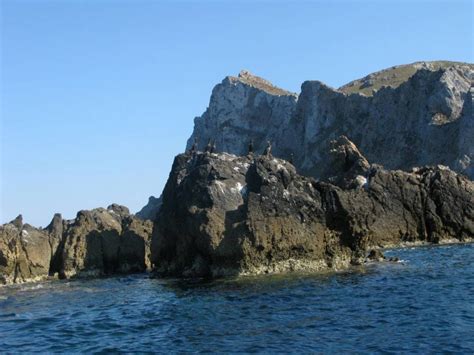 National Marine Park Of Alonissos Official Website Of The