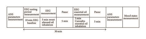 Experimental Protocol Of EEG ANS And Mood States Measurements Divided Download Scientific