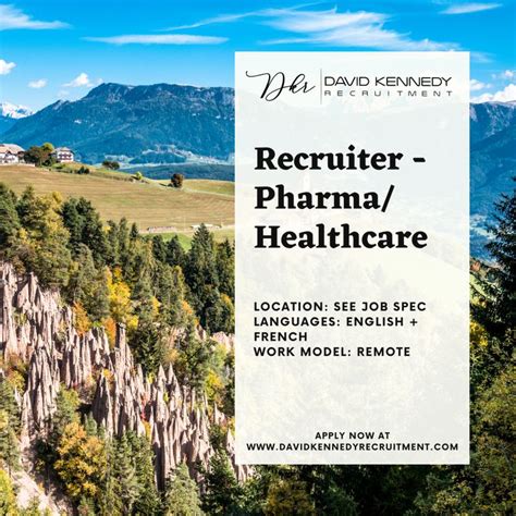 Recruitment Job Opportunity Alexandru Nathan Moisii