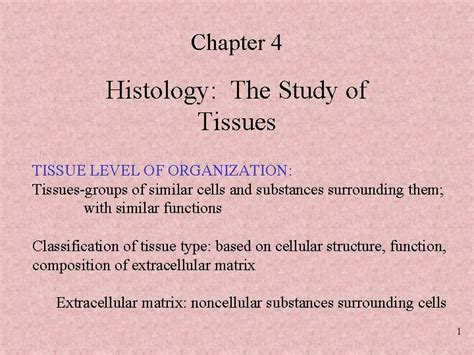Chapter Histology The Study Of Tissues TISSUE