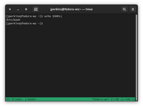 Cómo Usar Los Comandos Bash For Loop