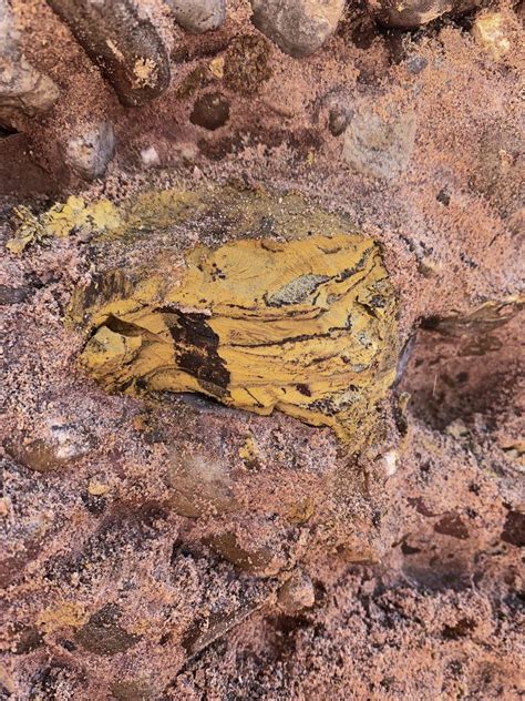 Soft Yellow Clay In Jurassic Layer Raskgeology