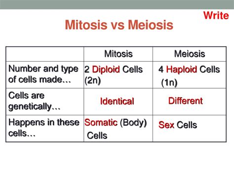 Ppt Meiosis And Sex Cell Reproduction Powerpoint Presentation Free