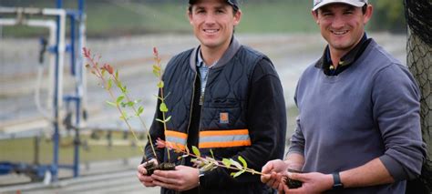Hills Transplants Grows Next Generation Of Tree Seedlings For Commercial And Biodiversity Plantings