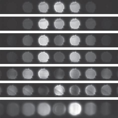 Top Image Layout Of The Diffraction Process In A Stem Showing The Download Scientific Diagram
