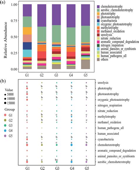 Predicted Functional Profiles A The Relative Abundance Of The Dominant