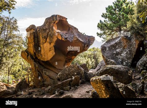 Red Granite Rocks Tafoni Calanches De Piana Bay Of Porto Porto