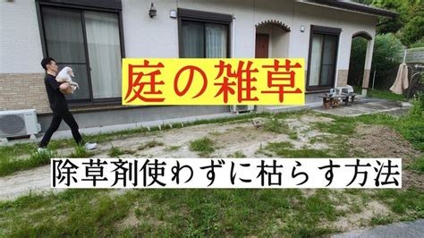 【庭の雑草】除草剤を使わずに枯らす方法 雑草 除草剤 庭 【庭の雑草】除草剤を使わずに枯らす方法 雑草 除草剤 庭