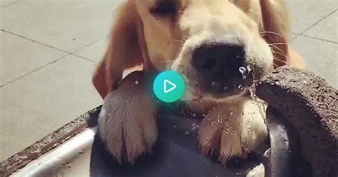Wait For It  On Imgur