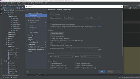 Phpstorm无法打开设置的问题phpstorm汉化之后打不开设置 Csdn博客