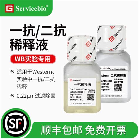 赛维尔 Western Blot 一抗二抗稀释液 增强抗原抗体结合100ml瓶虎窝淘
