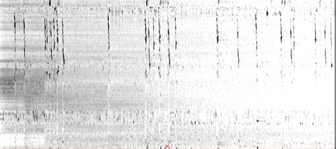 Rastermap In Suite2p Gui Are Different From Results In Matlab And