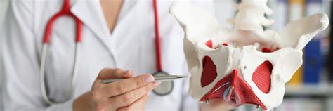 Pelvic Organ Prolapse Types Causes And Symptoms