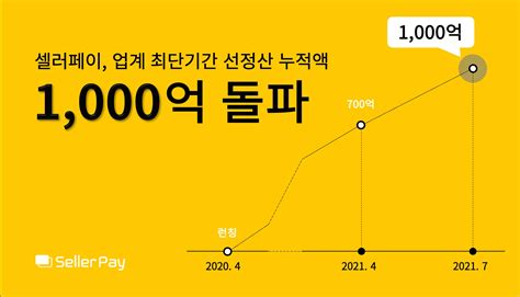 셀러페이 선정산 서비스 누적 이용액 1000억원 플래텀