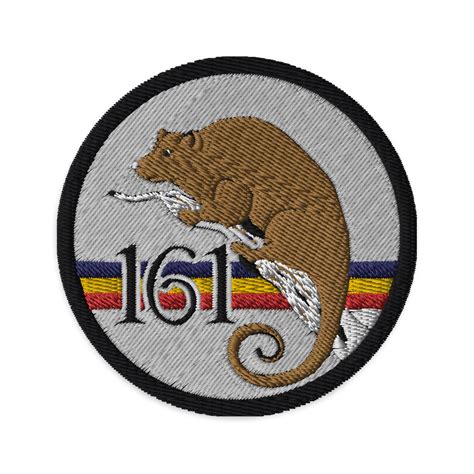 161 Recce Sqn Embroidered Patch