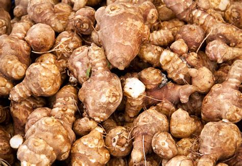 Sunchoke In Spanish At Marcus Glennie Blog