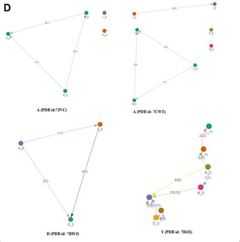 The Schematic Representation On The Classification Of Evolutionary