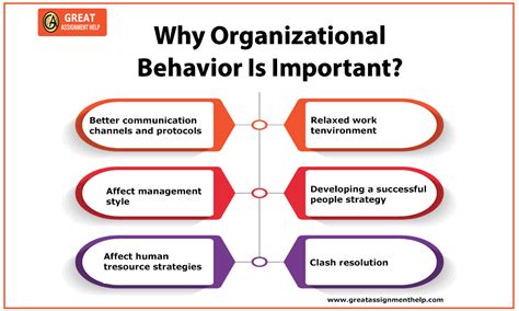 What Is Organizational Behavior And Why Is It Important