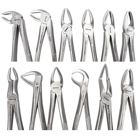 Gdc Extraction Forceps Kit Set Of 12 Efsp12 Alpha Dentkart