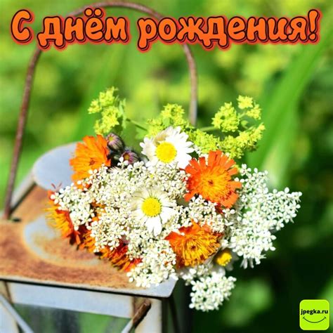 Открытки с Днём Рождения с полевыми цветами 50 картинок