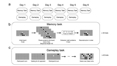 A Schematic Of The Experimental Method A Task Structure Across 6 Download Scientific Diagram