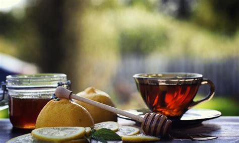 Tee Mit Zitrone Und Minze In Der Natur Eine Tasse Heißen Minztee Mit