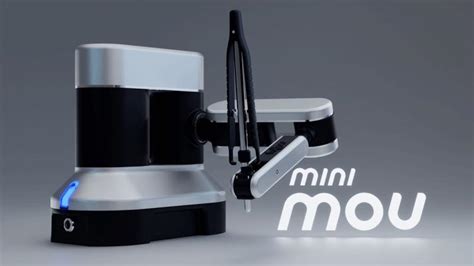 Introducing Mini Mou Follou