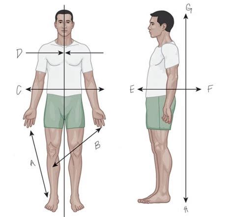 NASM Chapter Flashcards Quizlet NASM Chapter Flashcards Quizlet