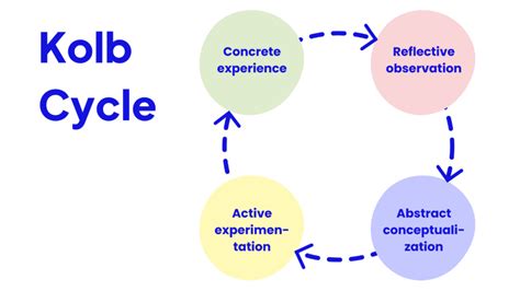 A Good Lesson In The Kolb Cycle
