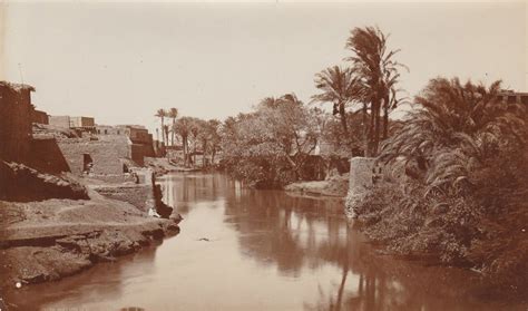 Georg Schweinfurth And Egyptology At The Neues Museum Art And Antique Marketplace