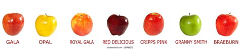 Apple Difference Images Stock Photos Vectors Shutterstock