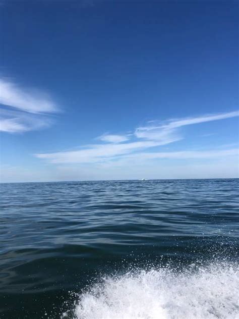 Sea Nymph Seanymph Onlyfans