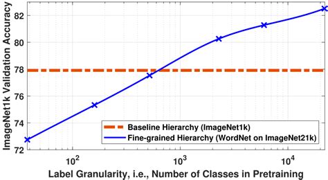 논문 리뷰 Why Fine grained Labels in Pretraining Benefit Generalization