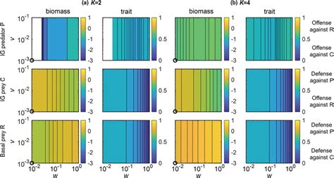 Effects Of The Width W And The Speed V Of Trait Adaptation On