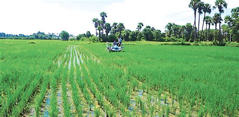 လုပ်သားရှားပါးမှုနှင့် အချိန်ကုန်သက်သာစေရေး ကြားပေါင်းလိုက်စက်ဖြင့် တမန်းနှိုး ကြားပေါင်းလိုက်ခ