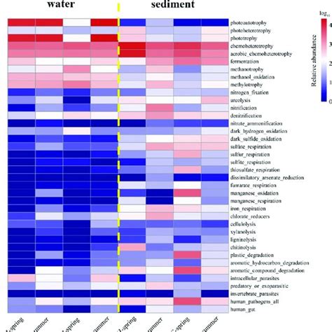 Heatmap Analysis Of Predicted Functions Based On Detected Bacterial