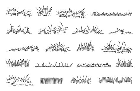 Linear Grass Doodle Hand Drawn Lawn Tufts Sketch Greenery Lines And