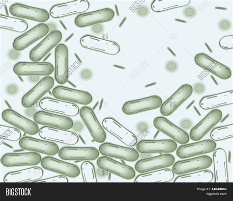 Editable Vector Vector And Photo Free Trial Bigstock