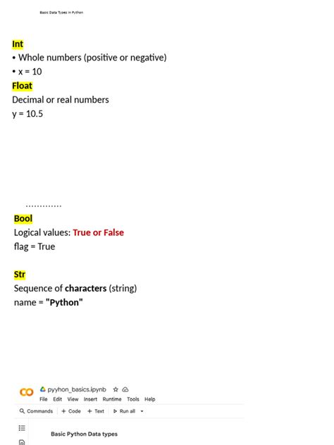 Python Basics Pdf