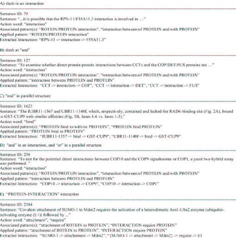 Extraction Examples In Each Example The Patterns Loaded For